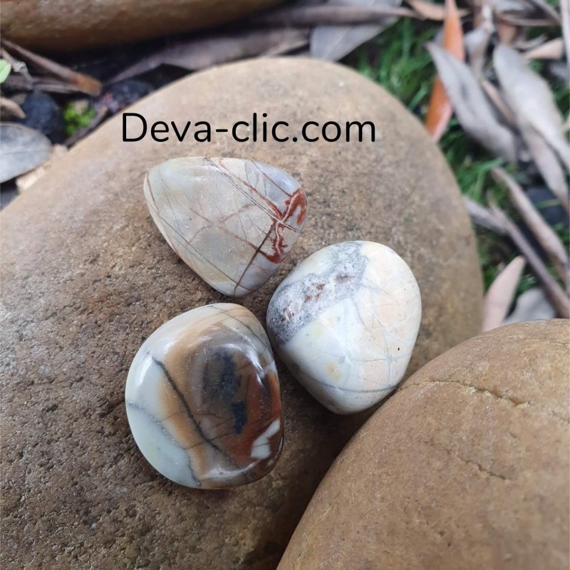 Signification des vertus et propriétés du jaspe picasso