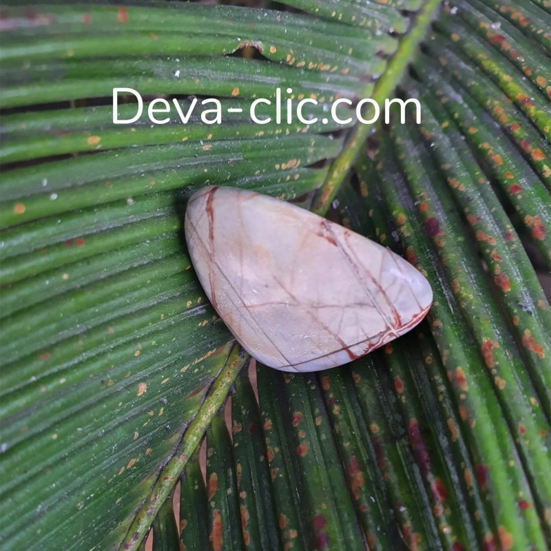 Signification des vertus et propriétés du jaspe picasso