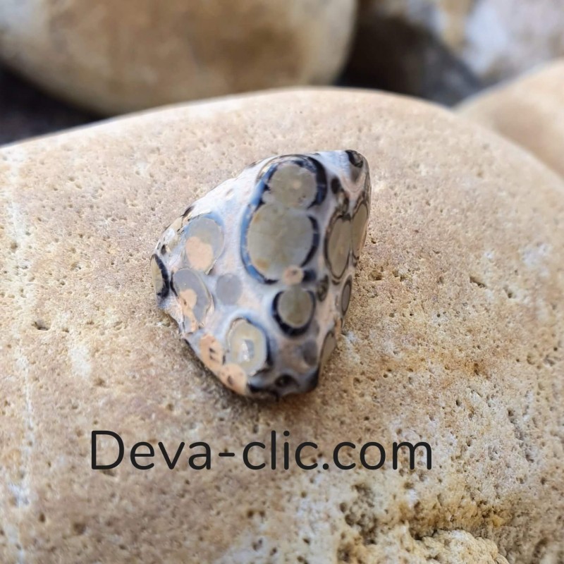 jaspe leopard - léopardite - rhyolite rose - jaspe orbiculaire